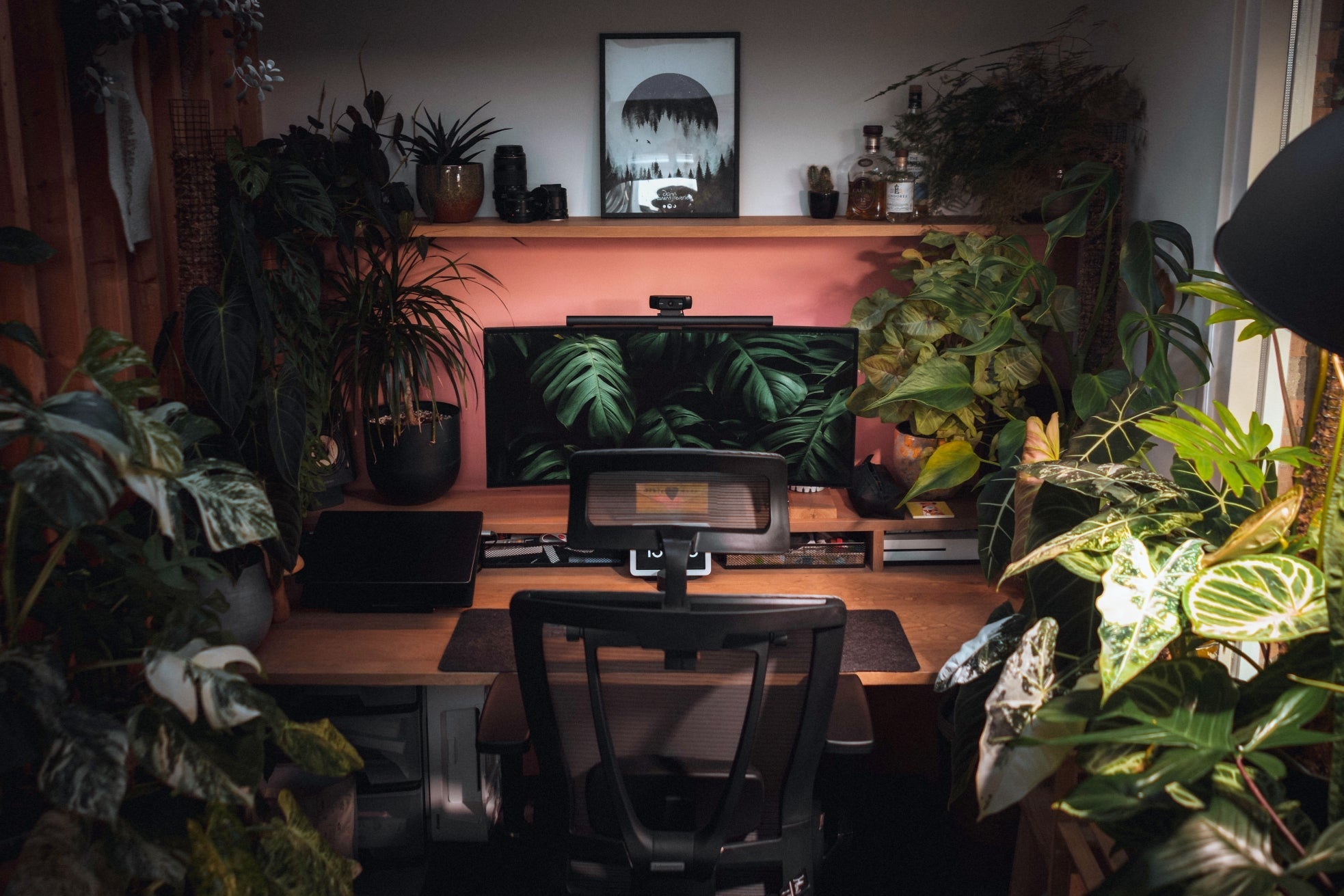 From Greenhouse Cabinet to Office Jungle: A Simple Indoor Growing Jour