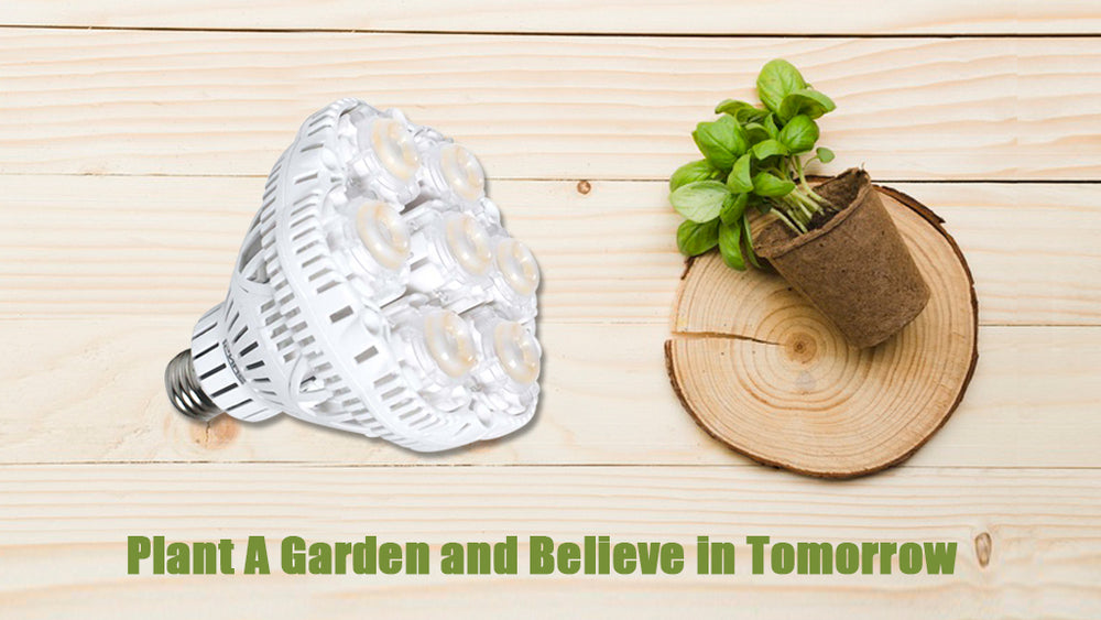 How To Grow Indoor High Light Plants Easier – SANSI Lighting