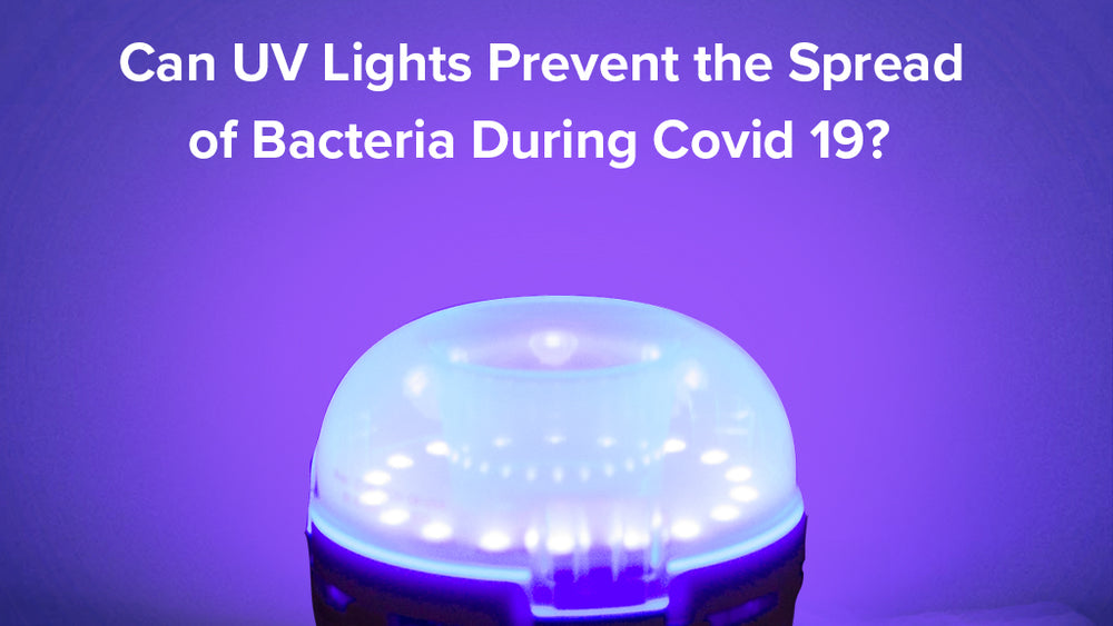 Can UV Lights Prevent the Spread of Bacteria During COVID 19? – SANSI ...