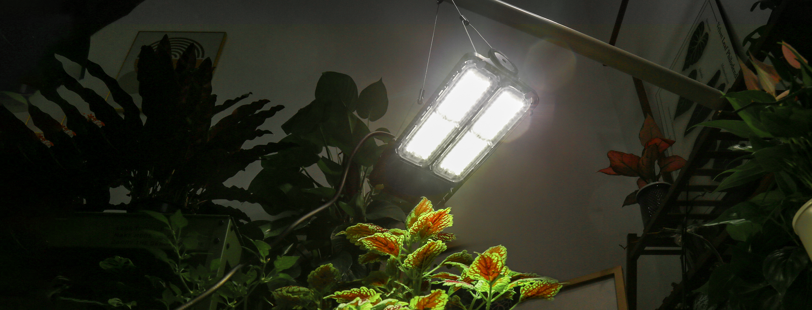 Panel Grow Light - Boost Your Indoor Gardening | SANSI – SANSI Lighting