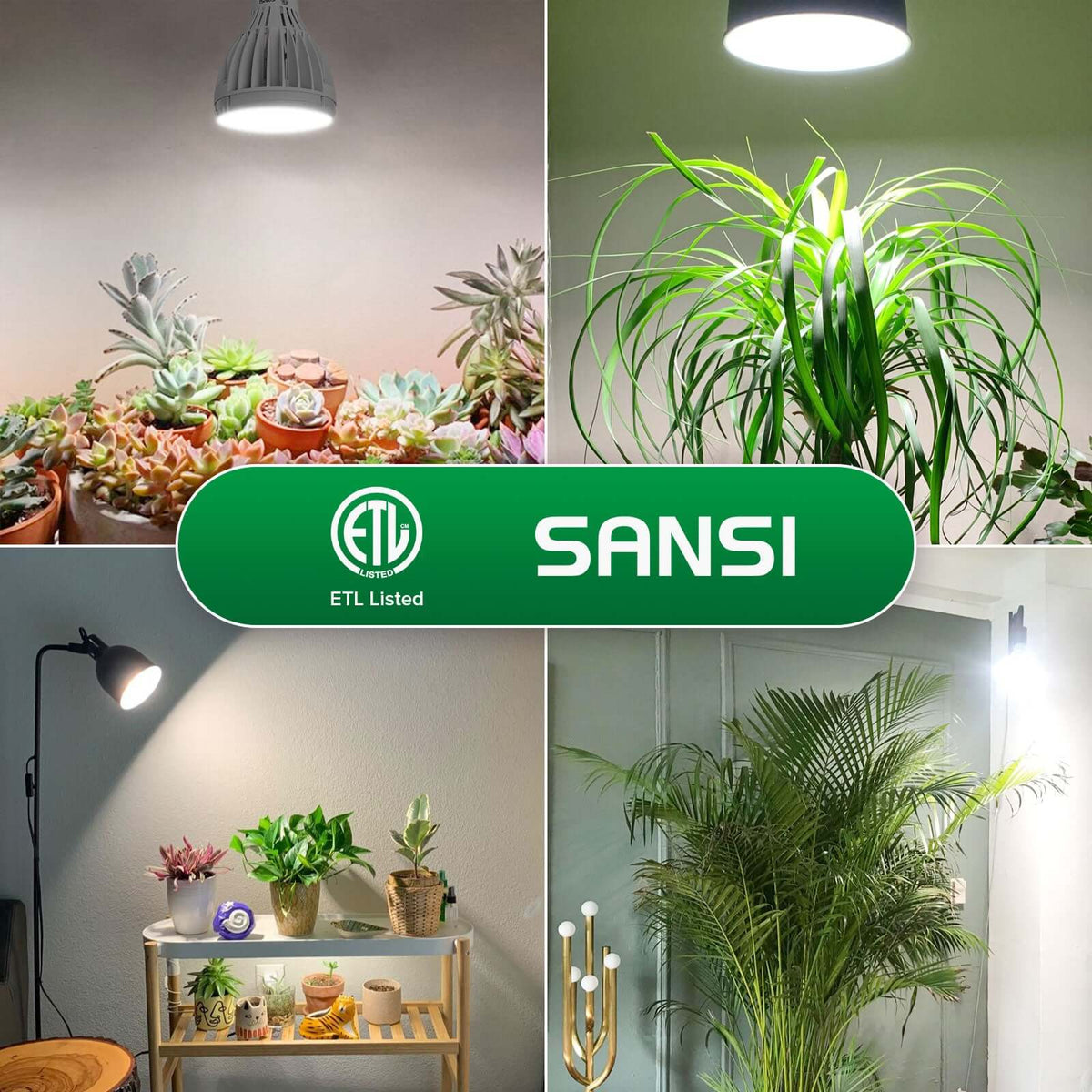 24W LED Grow Light Bulb with full spectrum for Indoor Plants Growing ...